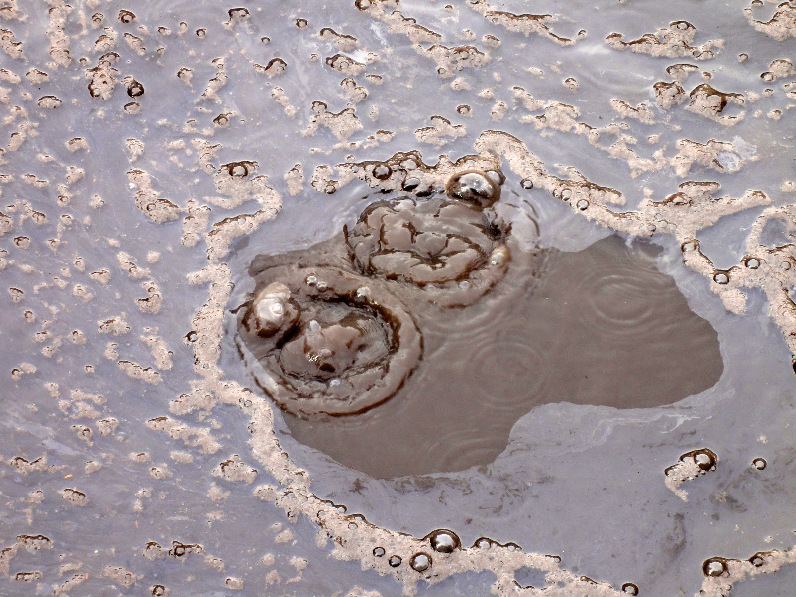 Akiachak to Aotearoa: One Teacher's Adventure!: Rotorua Geothermal ...