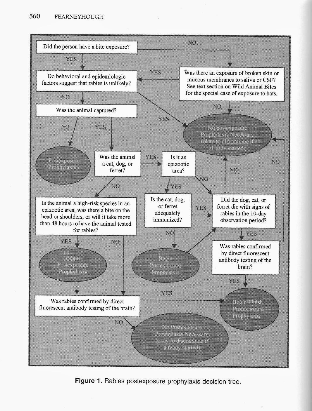 LMHornberger: Cats: Exposure to Rabies