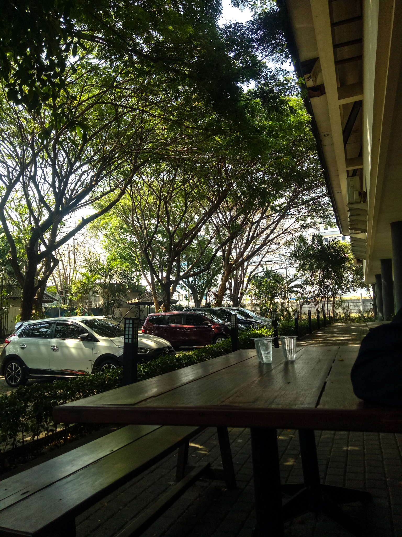 Take pohon rindang aes 📷