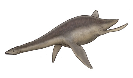 Los animales en la prehistoria: Animales prehistóricos con la letra H