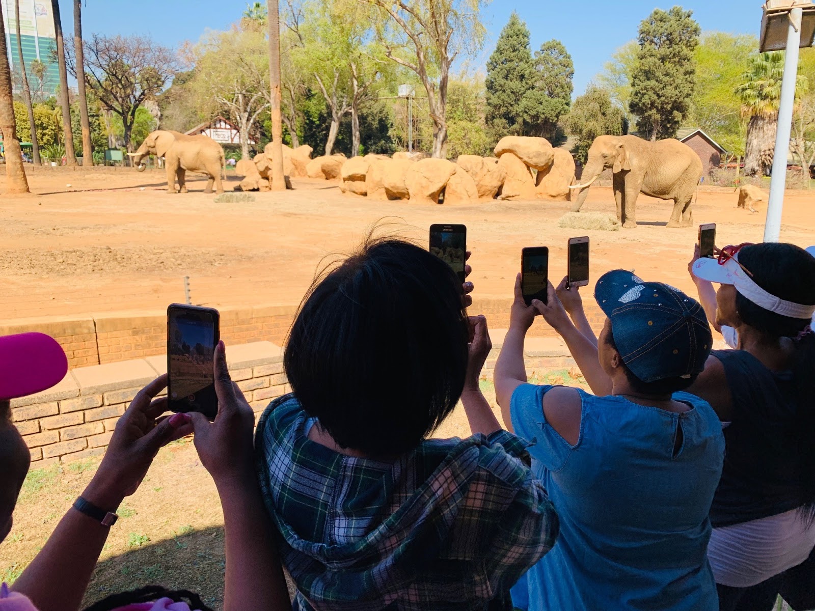 Team Building Johannesburg Zoo