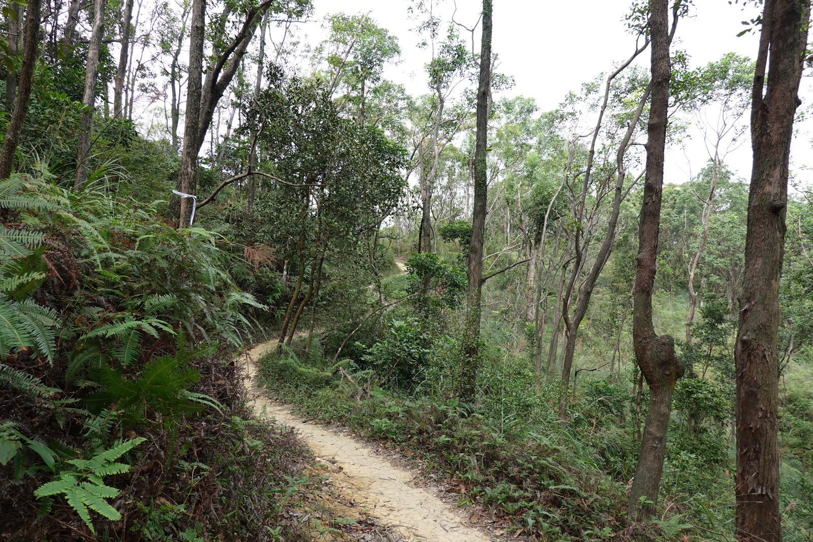 消耗五百食翻一千※香港行山記: 河背村→圓墩郊遊徑→深井 Ho Pui Village→Yuen Tun Country Trail→Sham ...