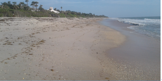 The Treasure Beaches Report Direct From Florida's Treasure Coast.: 5/21 ...
