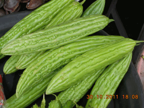 Pil Ajaib Dari Allah : KHASIAT BUAH PERIA UNTUK KESIHATAN