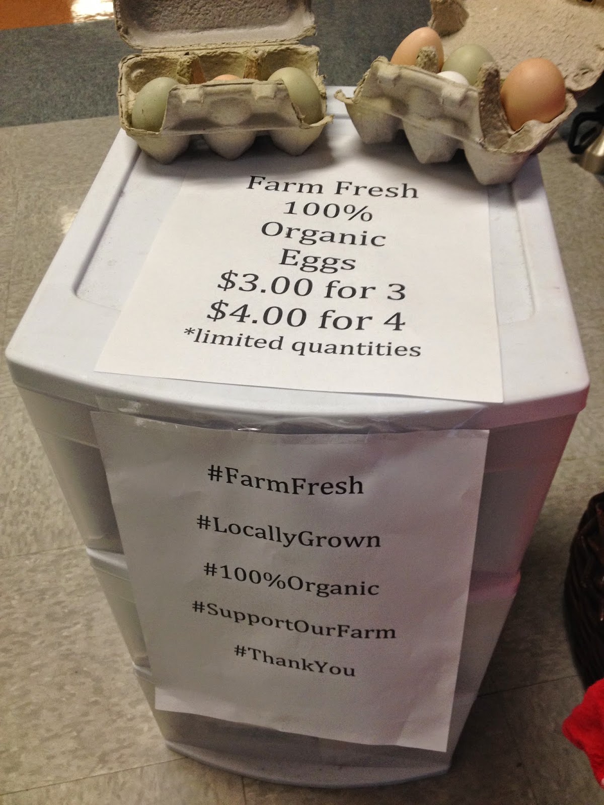 Moss Haven Farm: Healthy Harvest Pop Up Farmers Market