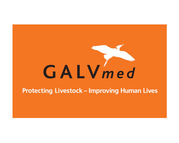 Job Opportunity at GALVmed, Project Coordinator | Ajira Yako Daily ...