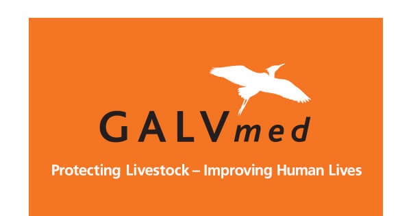 Job Opportunity at GALVmed, Project Coordinator | Ajira Yako Daily ...
