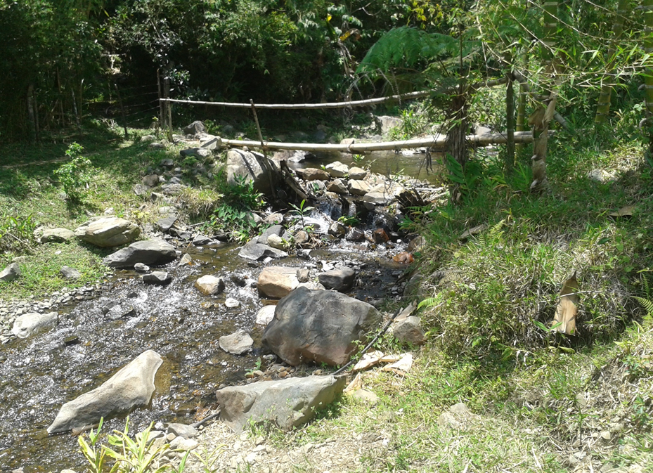 BIODIVERSIDAD CALI742: RIO PANCE BIODIVERSIDAD