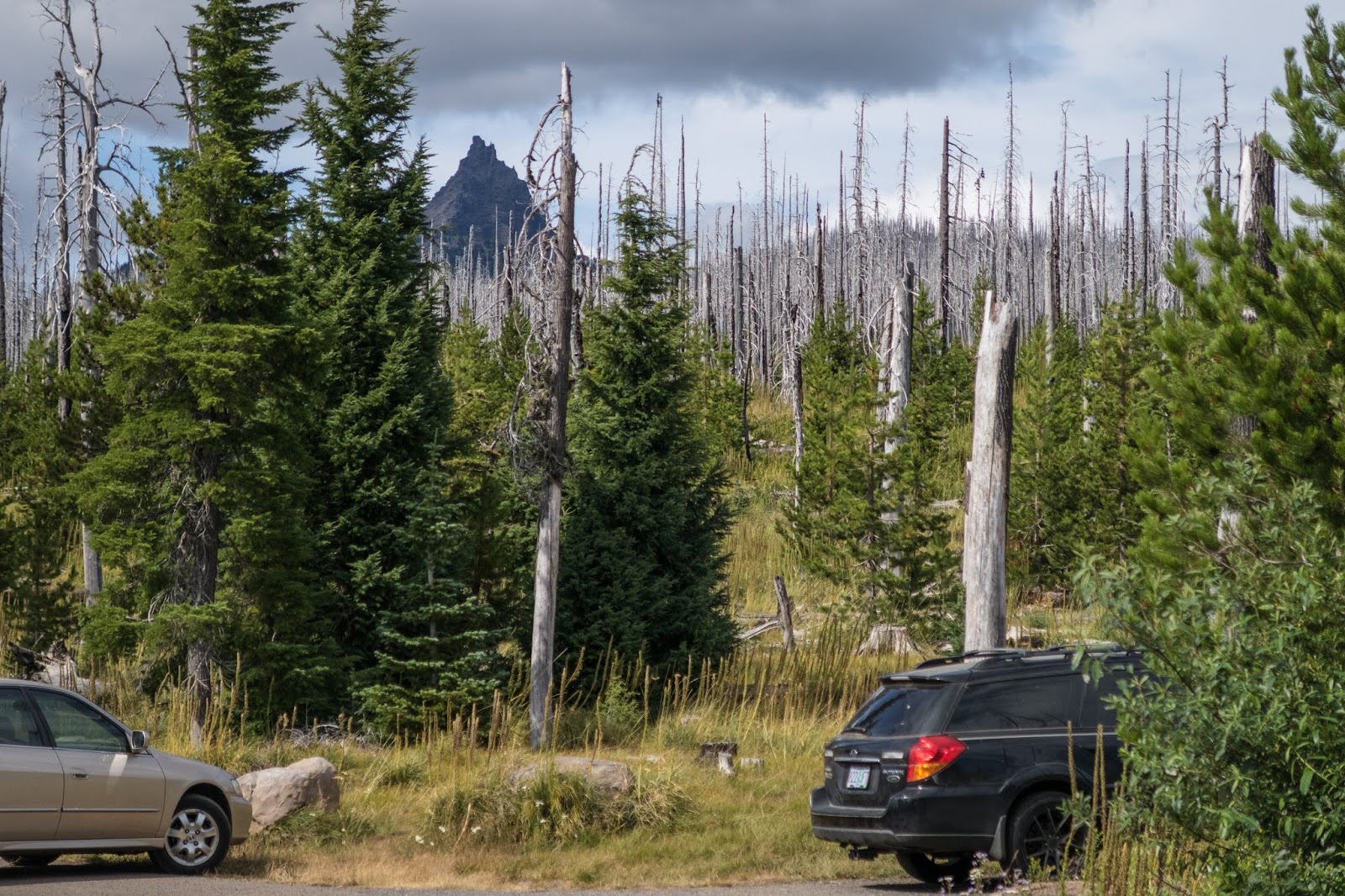 Eric's Hikes: Pacific Crest Trail: Santiam Pass to South Matthieu Lake