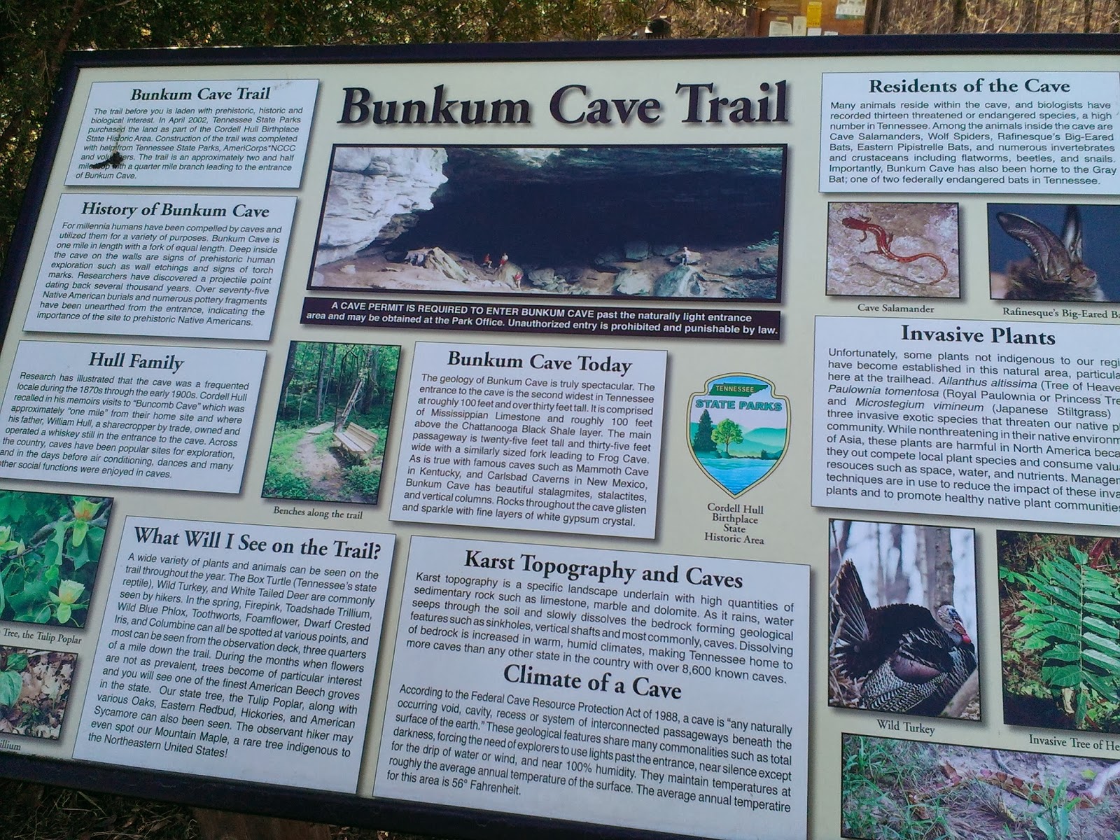 TRAVELING on a BUDGET : Bunkum Cave Loop Trail