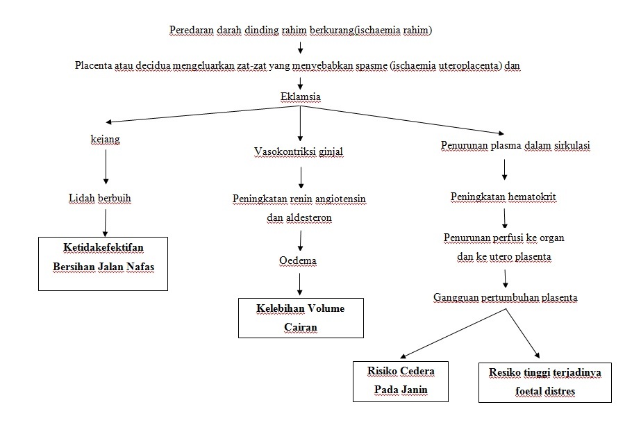 DayMD: ASKEP EKLAMSIA