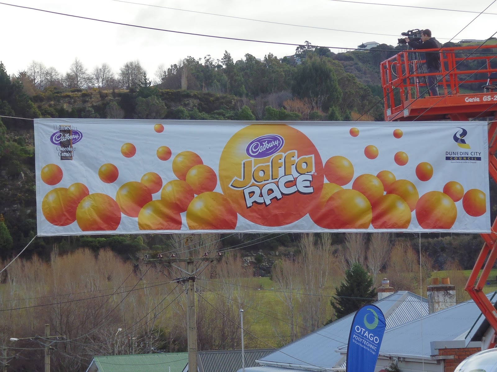 Trip in New Zealand: The Jaffa Race