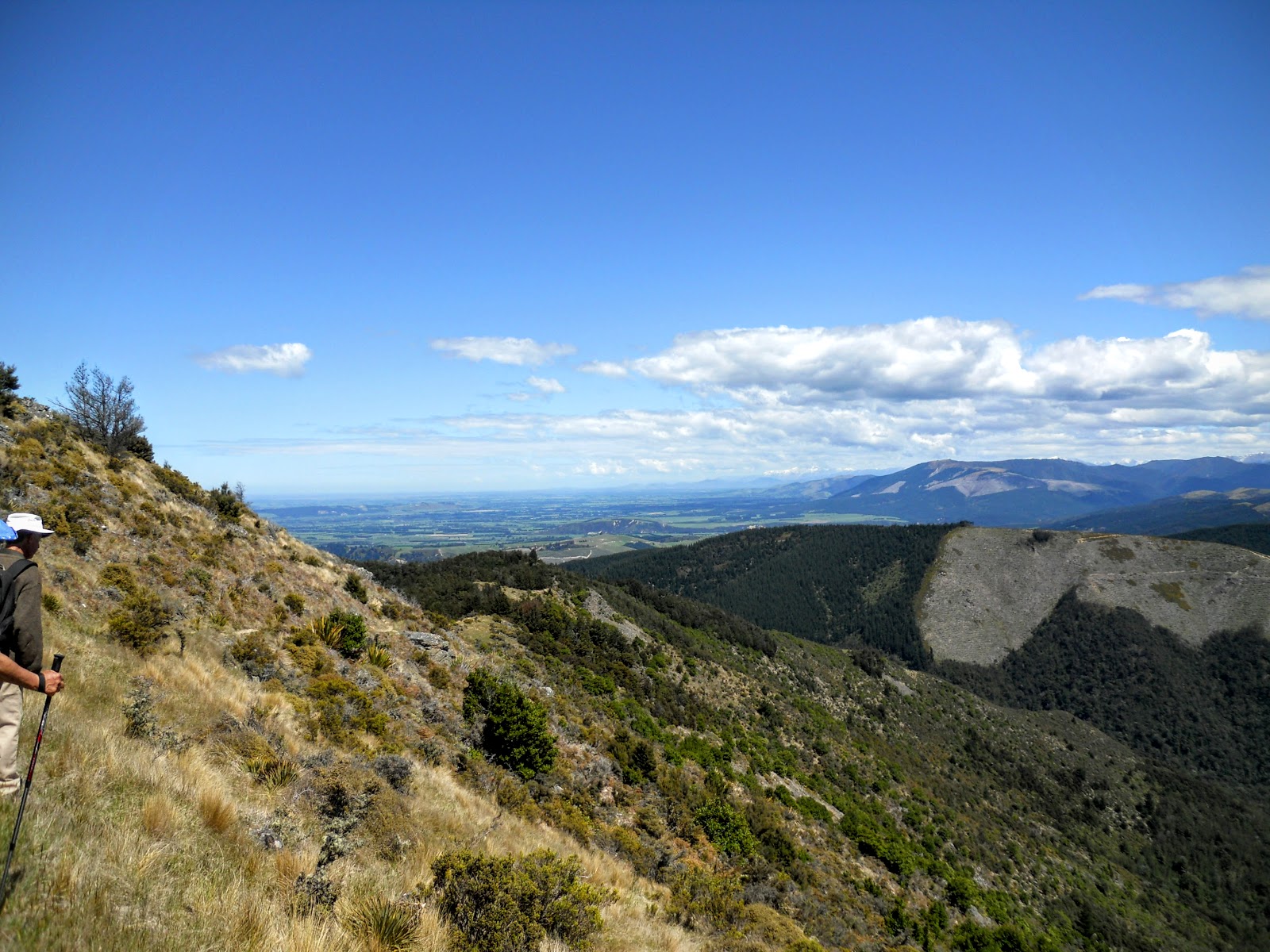 Tramping in the New Zealand backcountry: NZ Bush Adventures: Mt Grey ...
