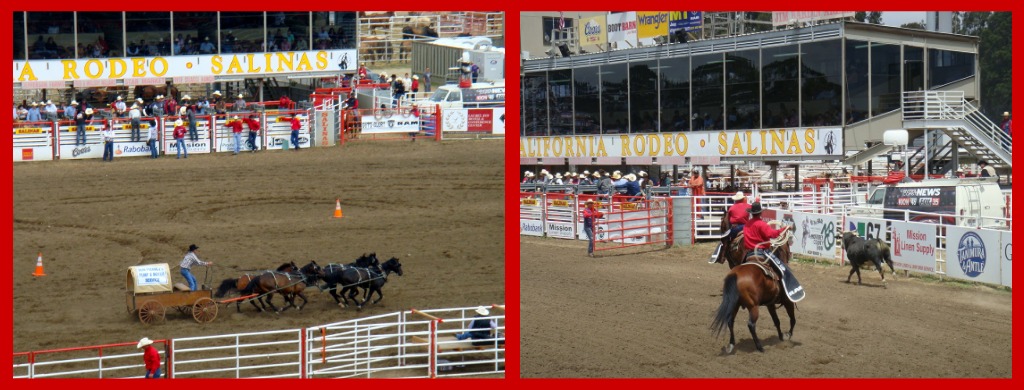 Salinas Rodeo | sealaura