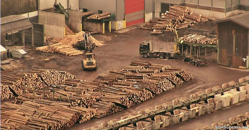 Accident de muncă la fabrica Egger Rădăuți. Un bărbat a suferit o ...