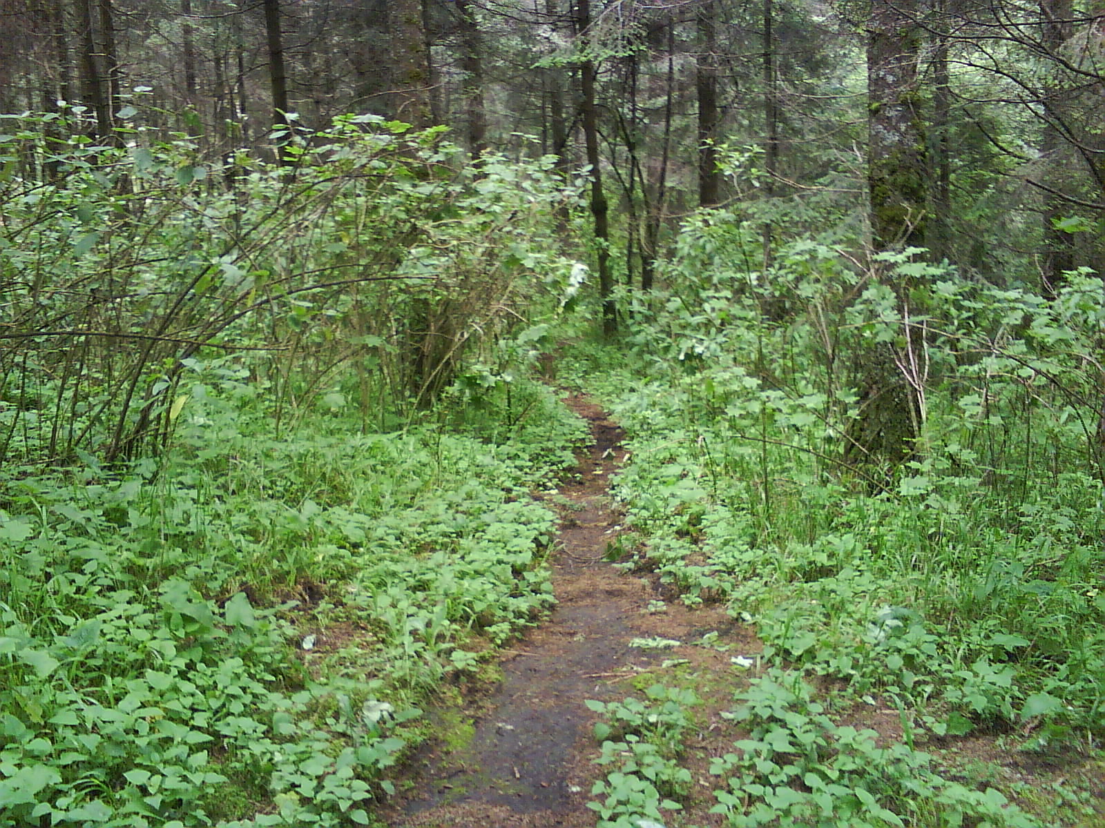 Vive el Turismo en Lerma Estado de México