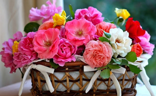 Cara Terbaik untuk Mengungkapkan Perasaan Anda - Mendapatkan Bunga yang ...