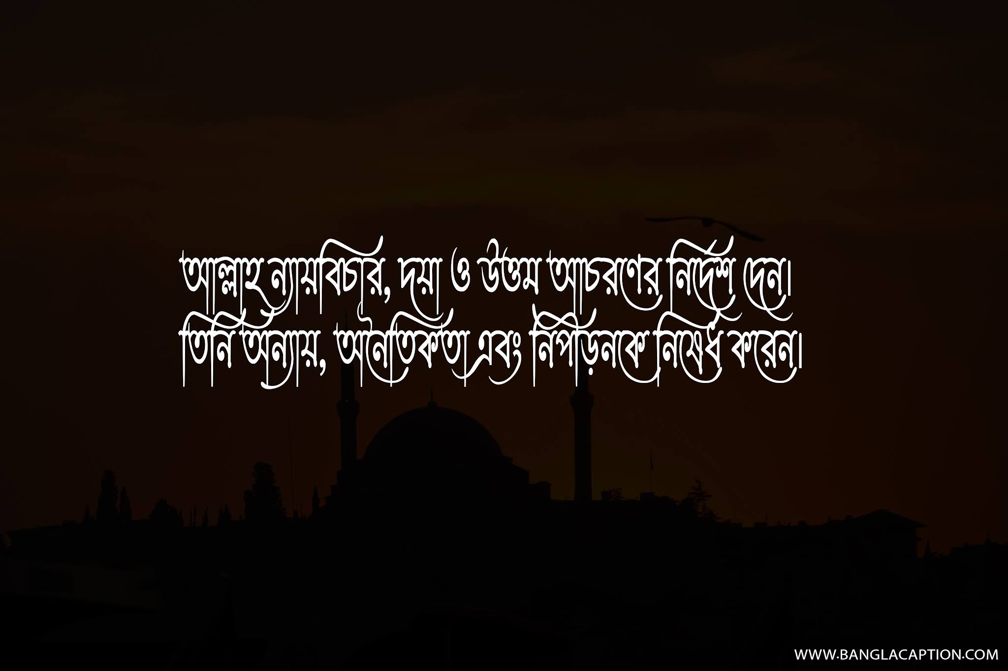 ইসলামিক উপদেশ মূলক কথা/Islamic Ukti Bangla
