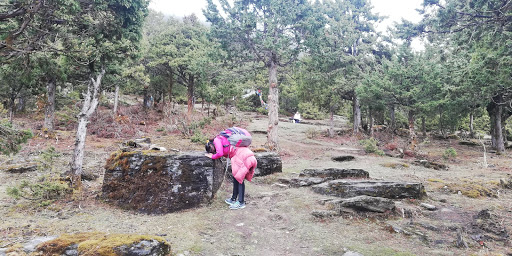 Reflections of a Bhutanese Man: Doing the Thimphu-Dungtsho Trek in One ...