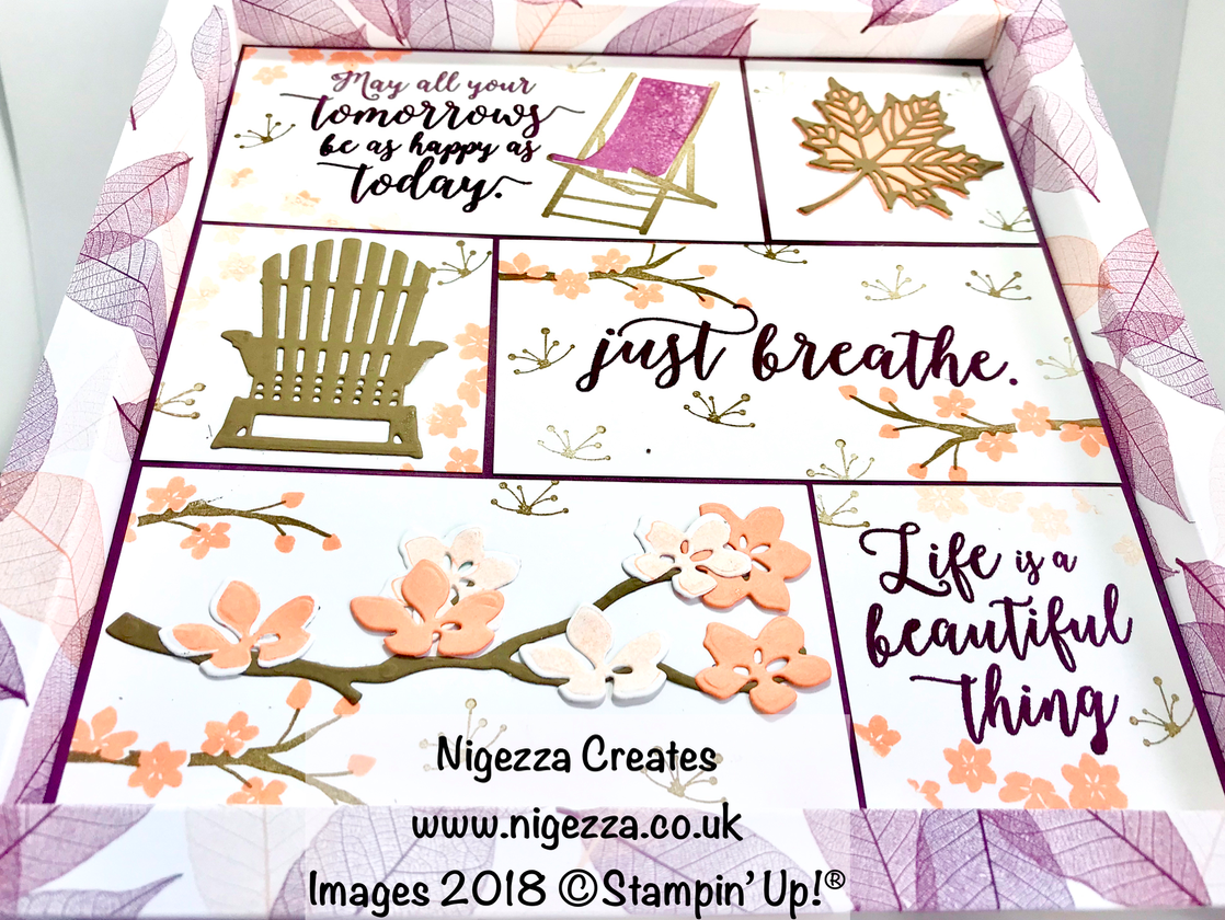 Nigezza Creates: Shadow Box Frame Sampler Using Stampin' Up!® Natures ...