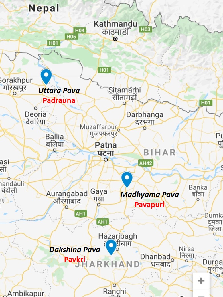 In search of the real Pava...