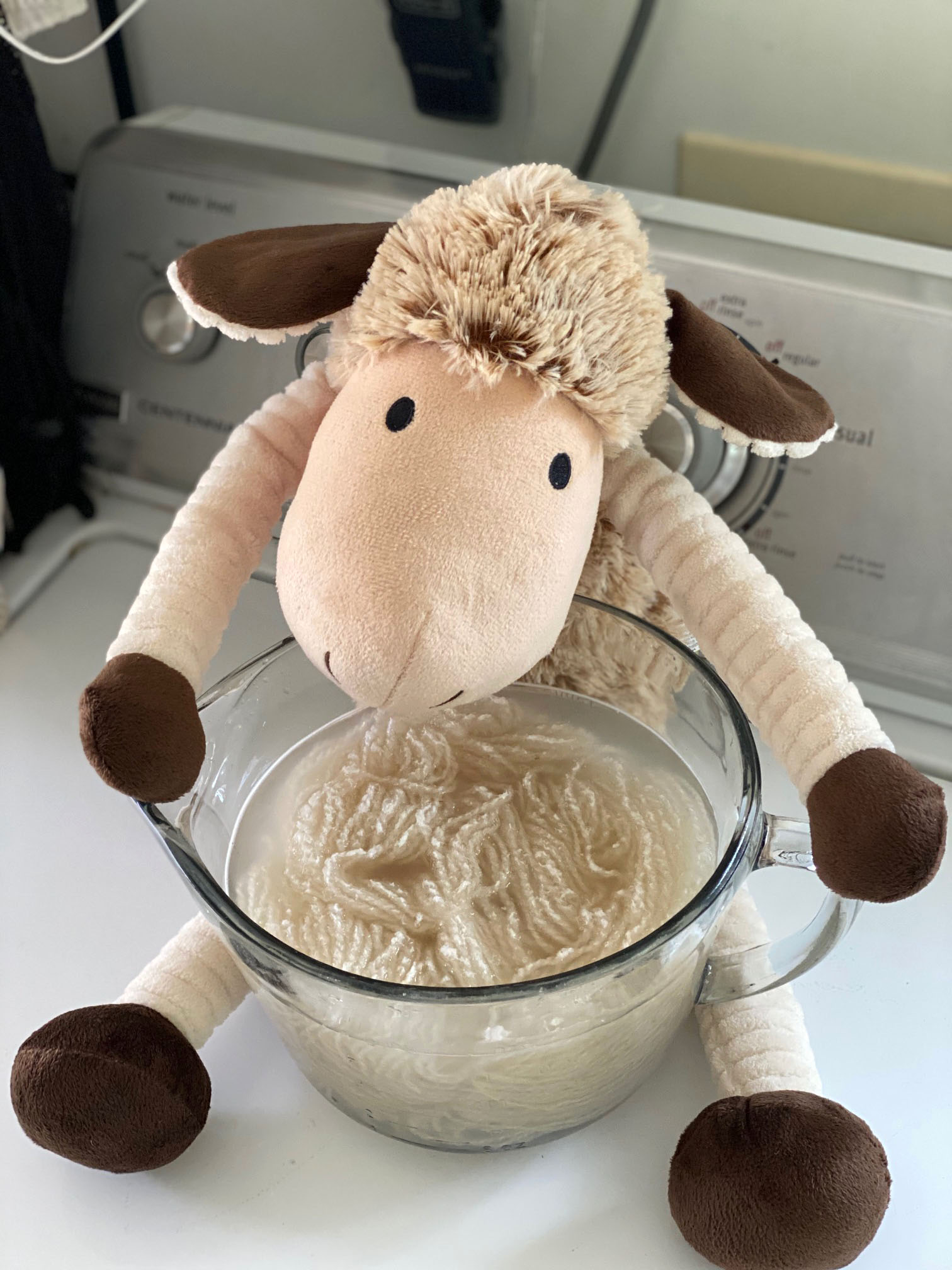 Punkin's Patch: A Sweet Story About A Sweet Sheep