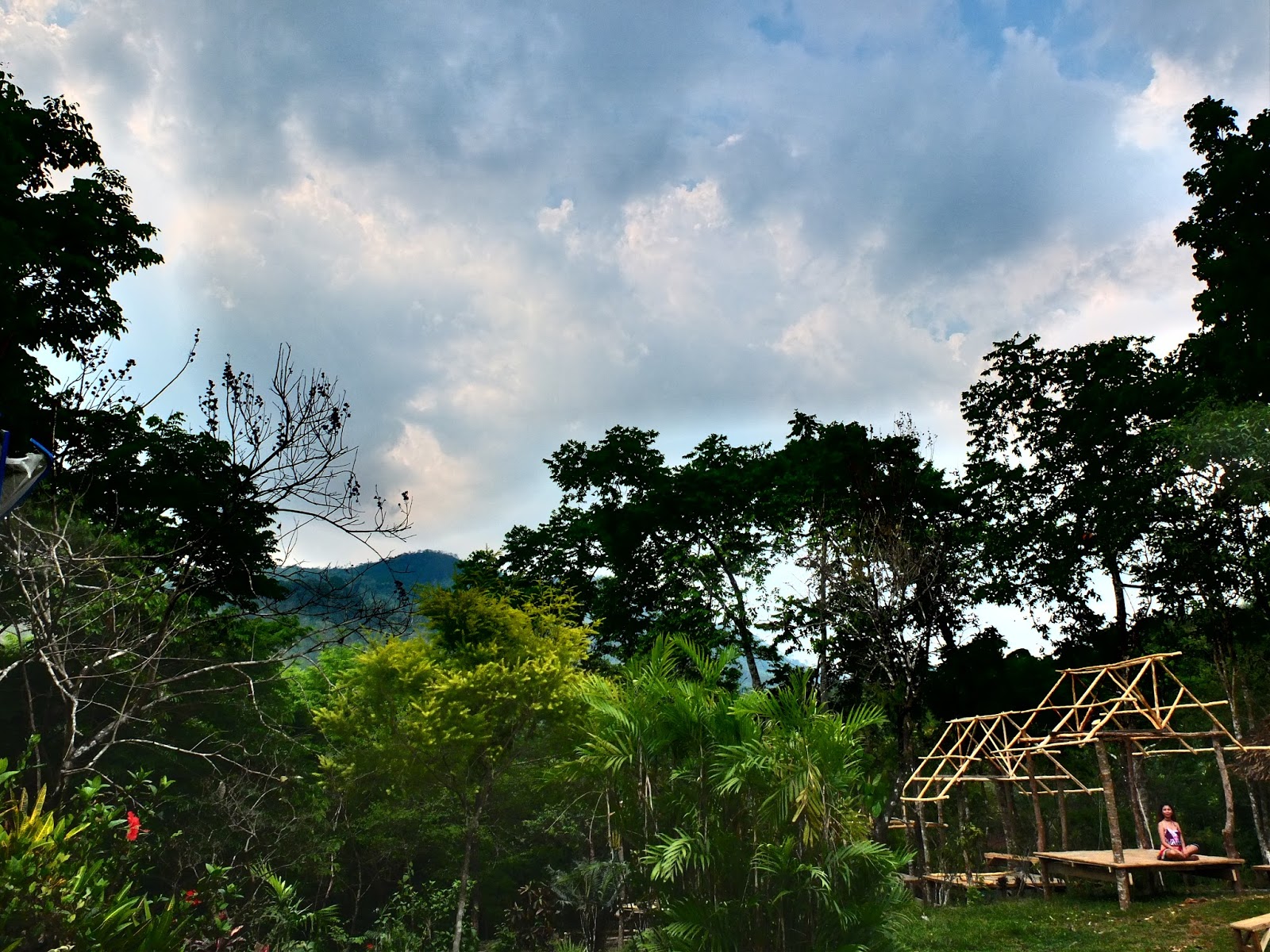 Mount Purro Nature Reserve : Eat,Pray,Love - The Filipino Rambler