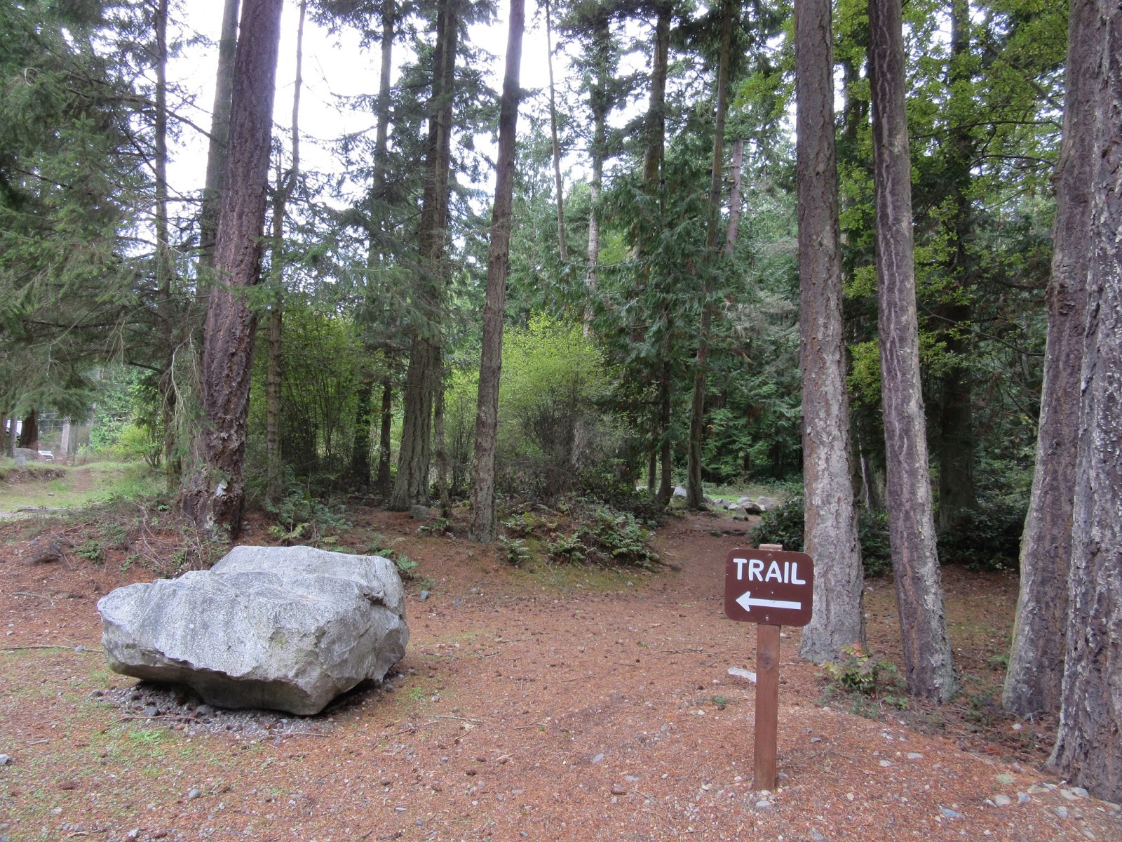 The Hoge Homestead ~: Quarry Pond~
