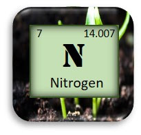 NITROGEN CYCLE