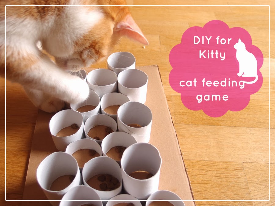 Paper Leaf: DIY for cat - feeding game station