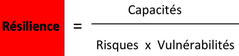 LA RÉSILIENCE, C'EST QUOI EXACTEMENT