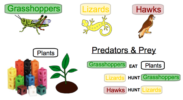 A Day in 3K: Food Chain Game