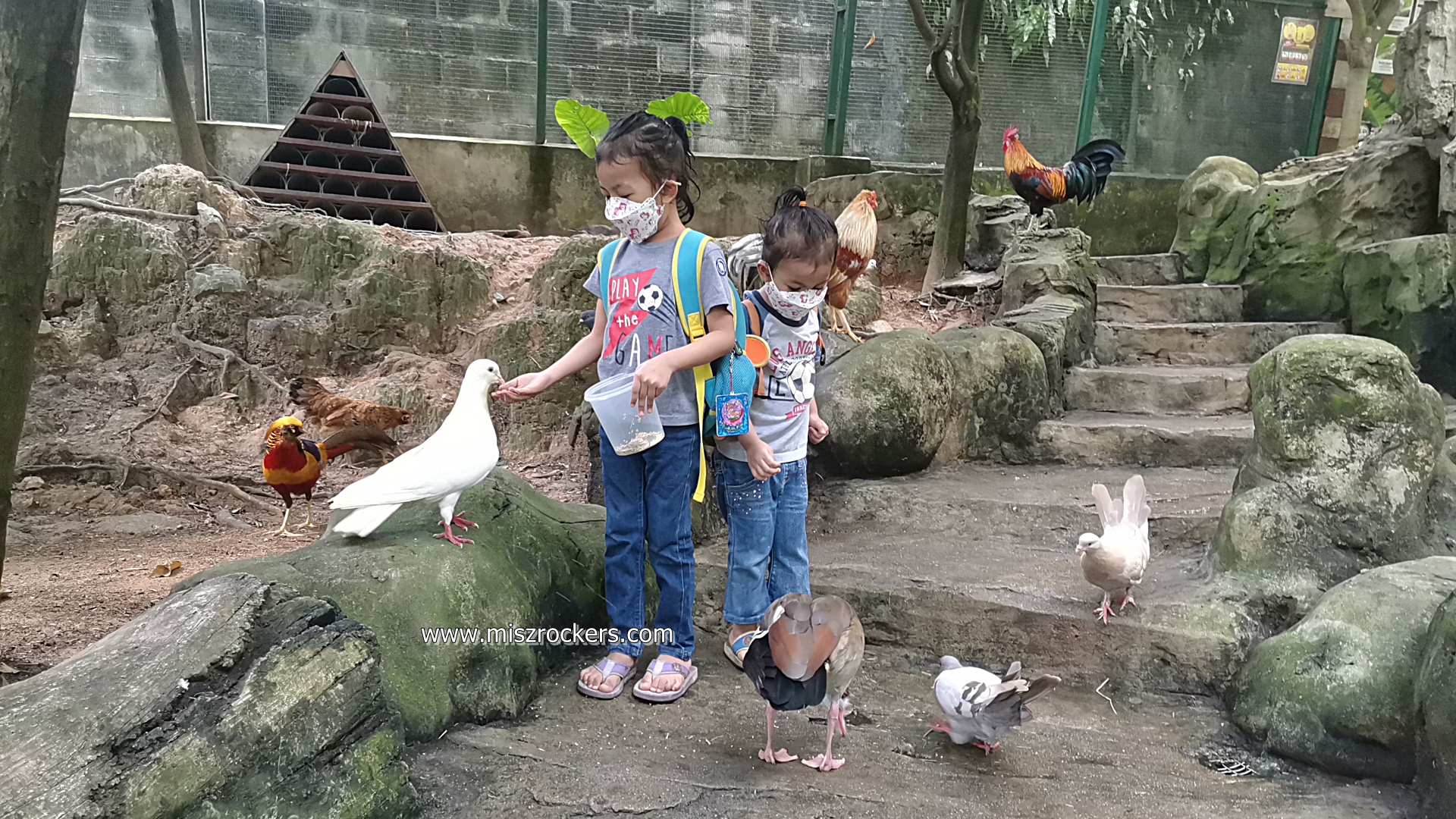 BAWA ANAK - ANAK KE FARM IN THE CITY SERI KEMBANGAN MELIHAT HAIWAN ...