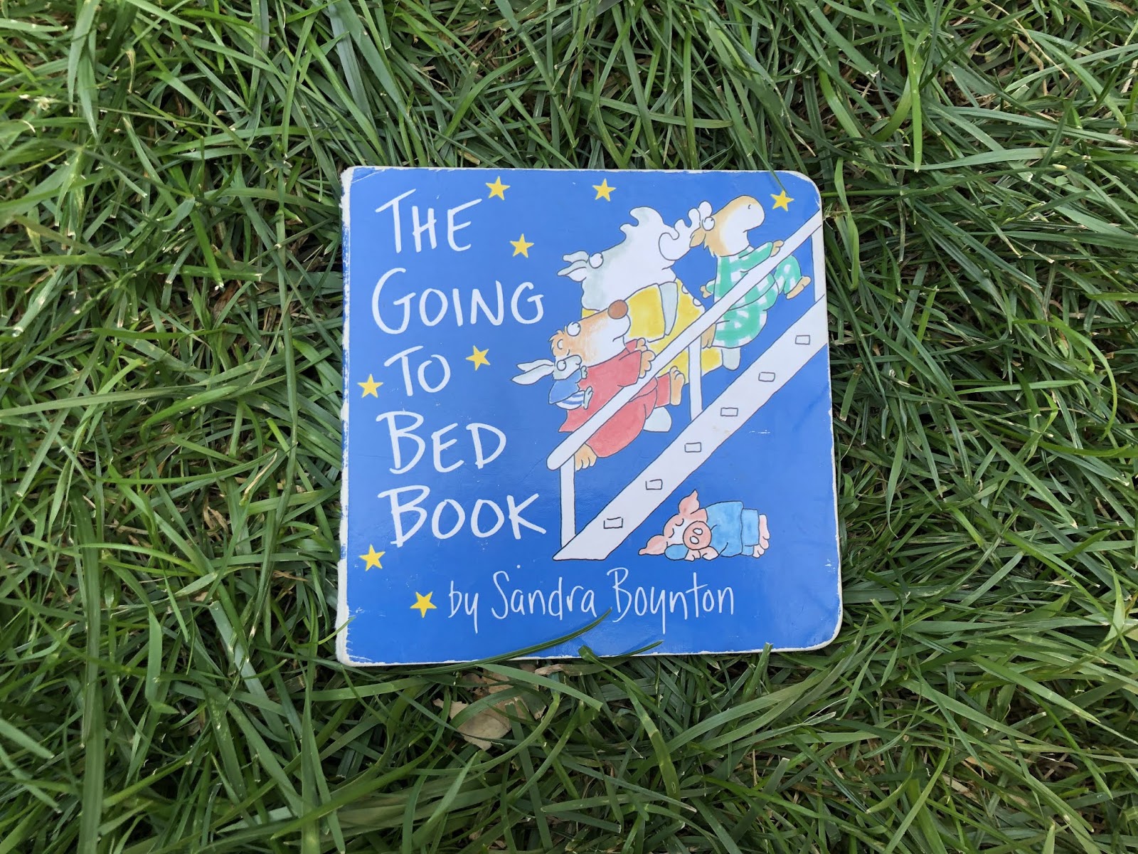 DADS READ: “The Going to Bed Book” by Sandra Boynton