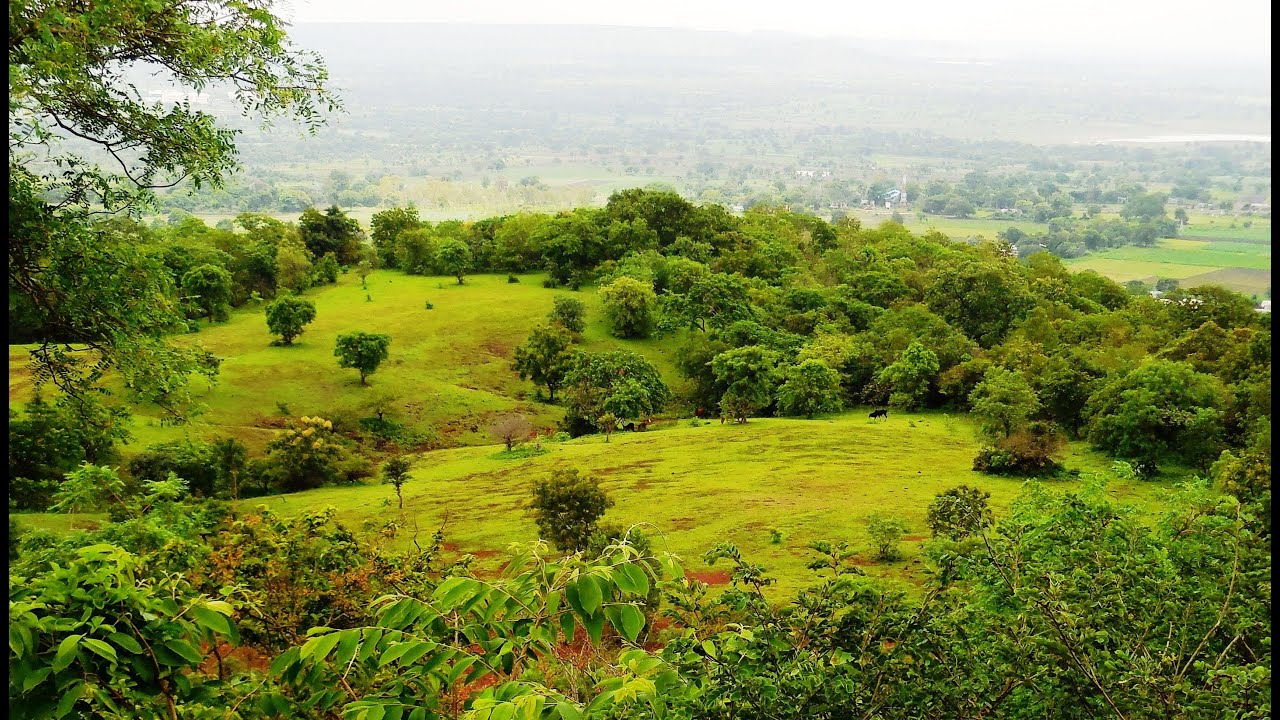 WEEKEND GETAWAY: Drive your way to Ananthagiri Hills this weekend and ...