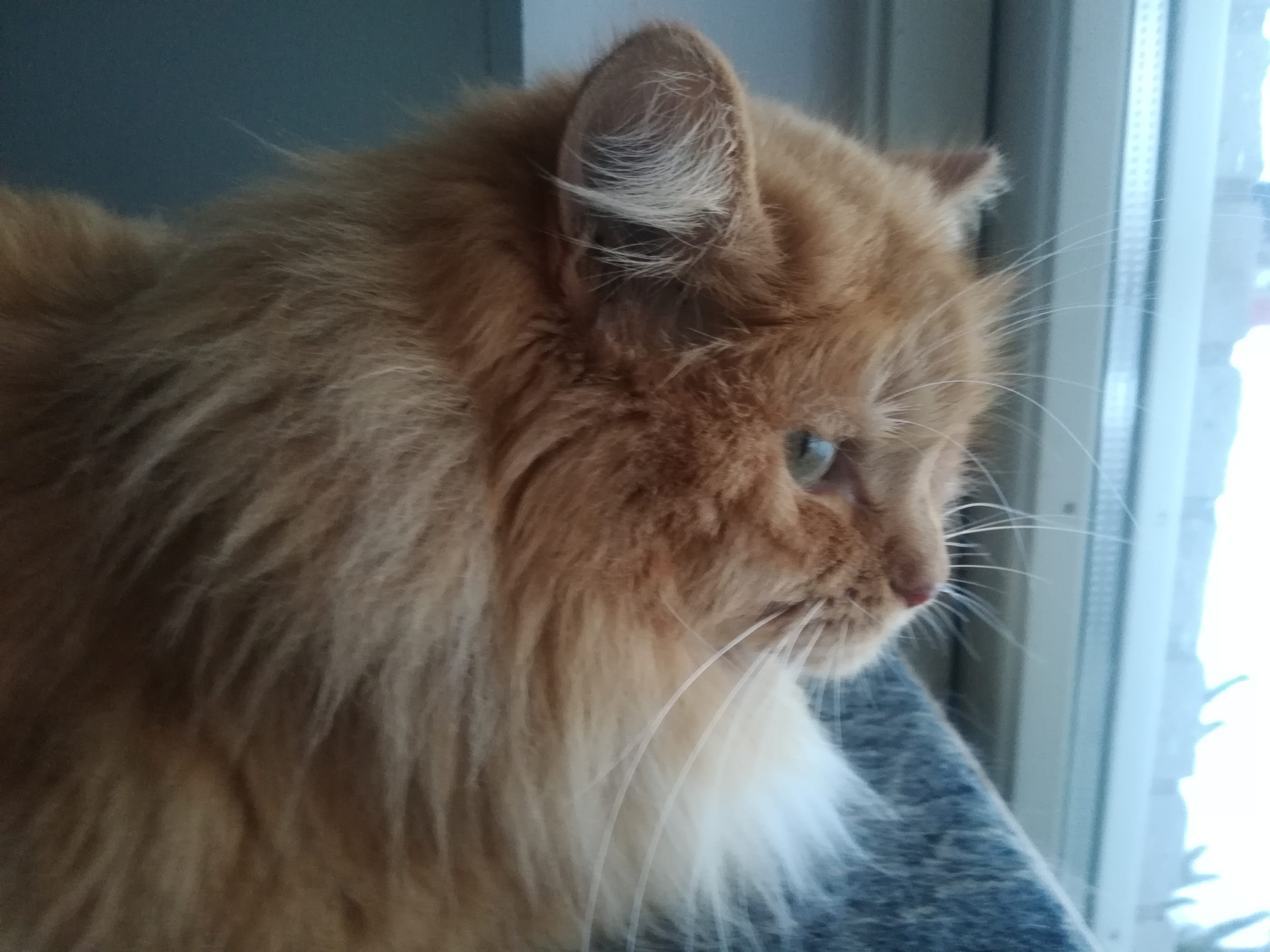 Heiksi blogi: "Laseme märki!"