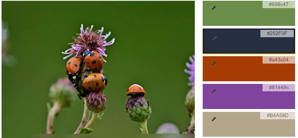 Sunflowers and Ladybugs