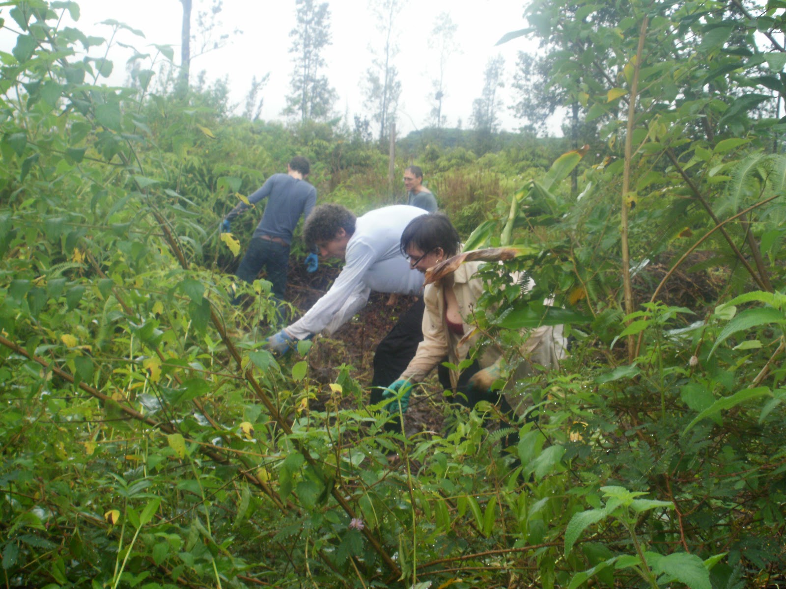 Hubbell's Hog Heaven: Time to Catch Up, Part 1: The Piggery