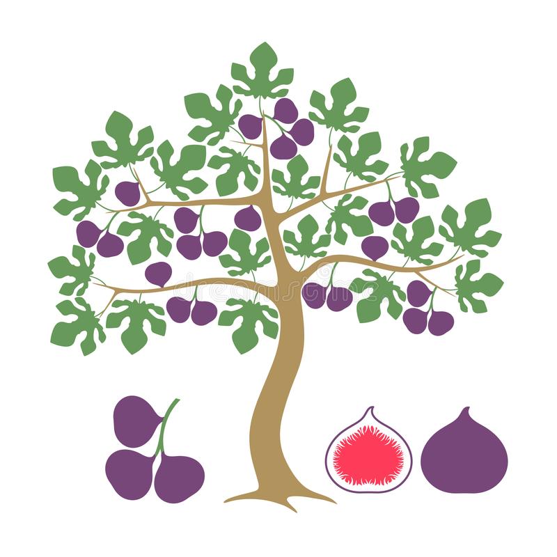 A Lenten Journey with Fr. Vazken