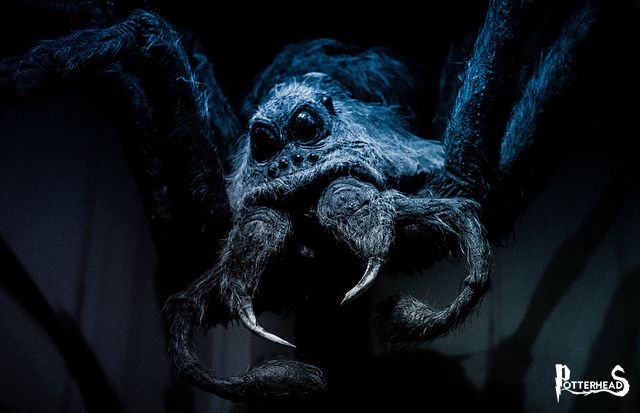 La Biblioteca de la Bella e la Bestia: "Throne Of Glass Series" by ...