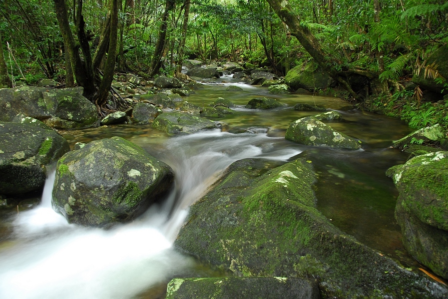 Nature Outdoor Camp Pro-Team KEM RIMBA TAMU,82RENING, BTG KALI ...