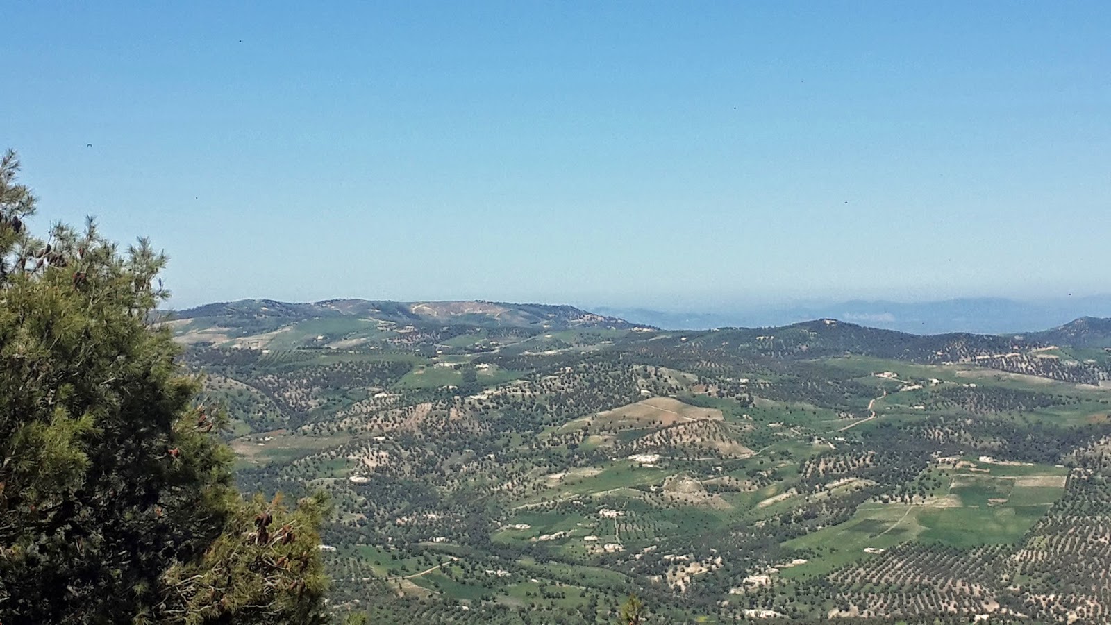 RIAD SOUAFINE.COM FES MAROC: MONT ZALAGH FES: déjeuner sur l'herbe