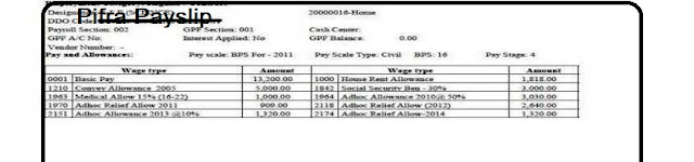 Get information And Guides Regarding Pifra Salary & Pay Slips in 2020 ...