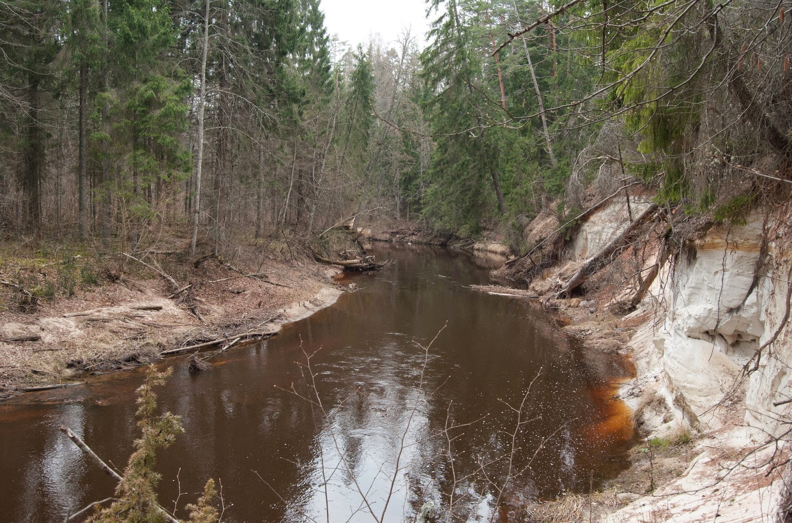 Eve Saar Photo: Lõuna Eesti Mõniste ja Põhja-Läti Ape/South Estonian ...
