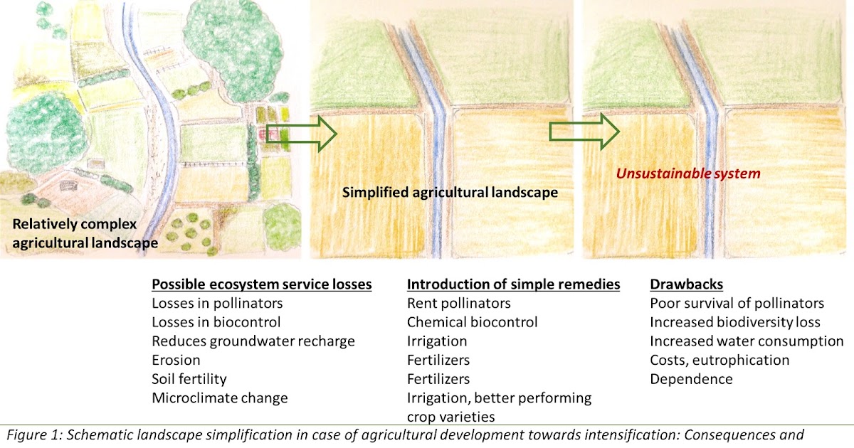 Fractionation of natural habitat and landscape uniformization – or ...