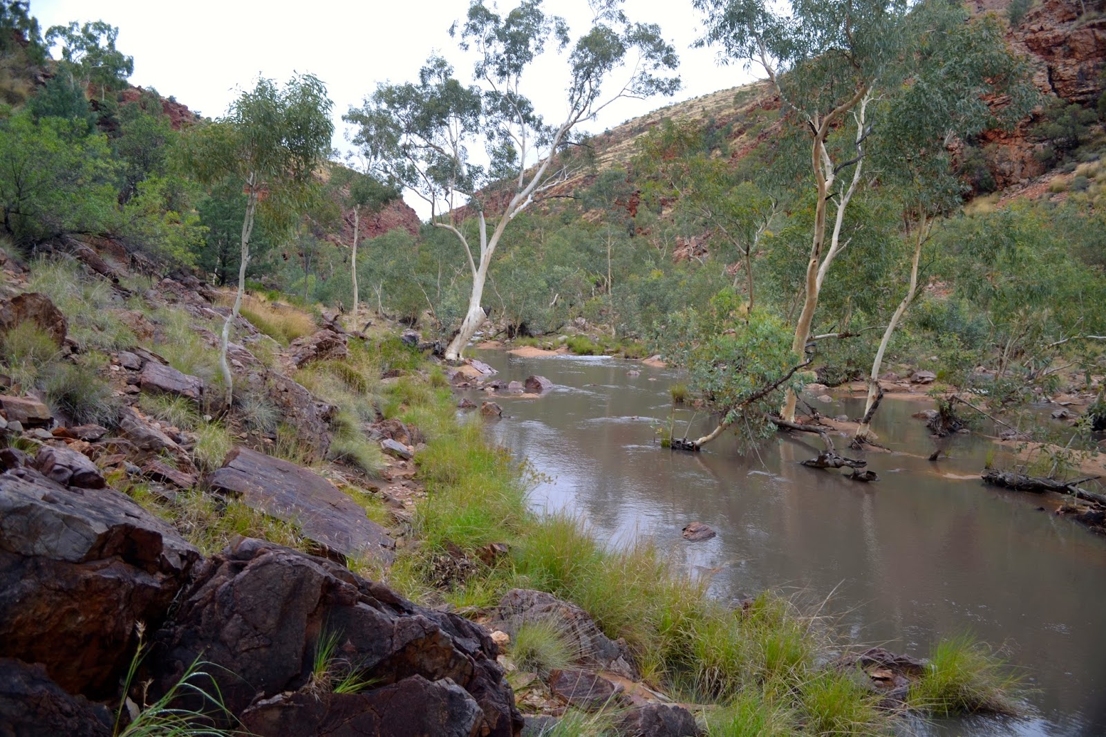 Goin' Feral One Day At A Time: Redbank Gorge, Western MacDonnell ...