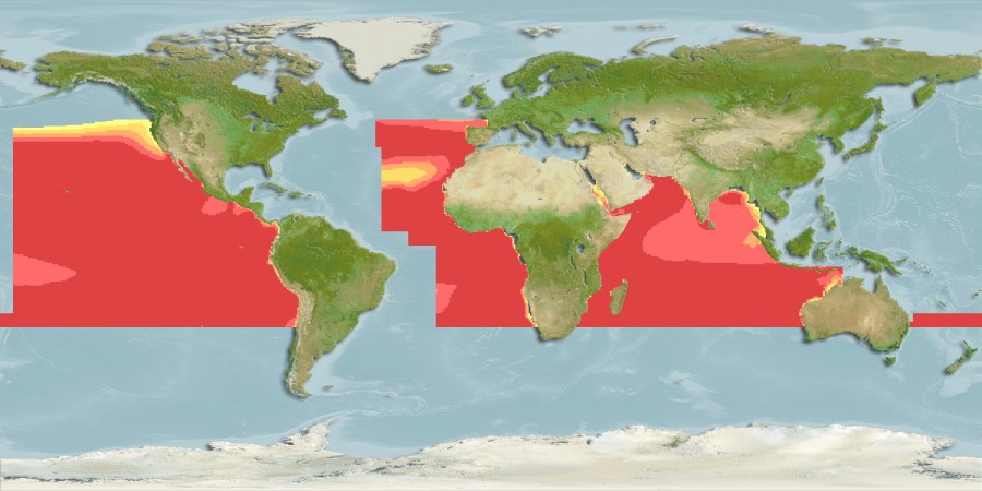 Artes de Pesca: ACTINOPTERYGII