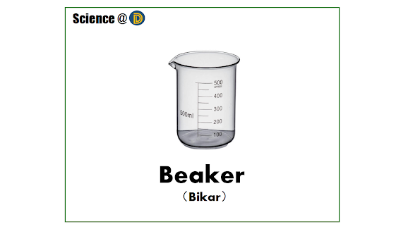 Apparatus in a Laboratory - their functions (Part 1)