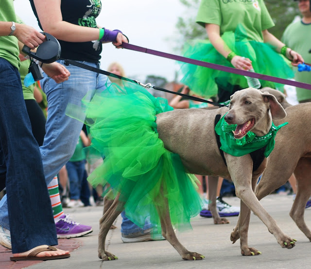 Humane Society of Eastern Carolina: Ten Reasons to Visit Canine Crawl!