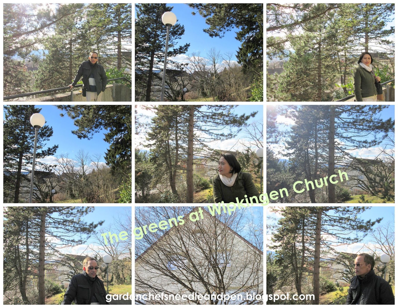 The Alps and the City of Zurich from Wipkingen Church